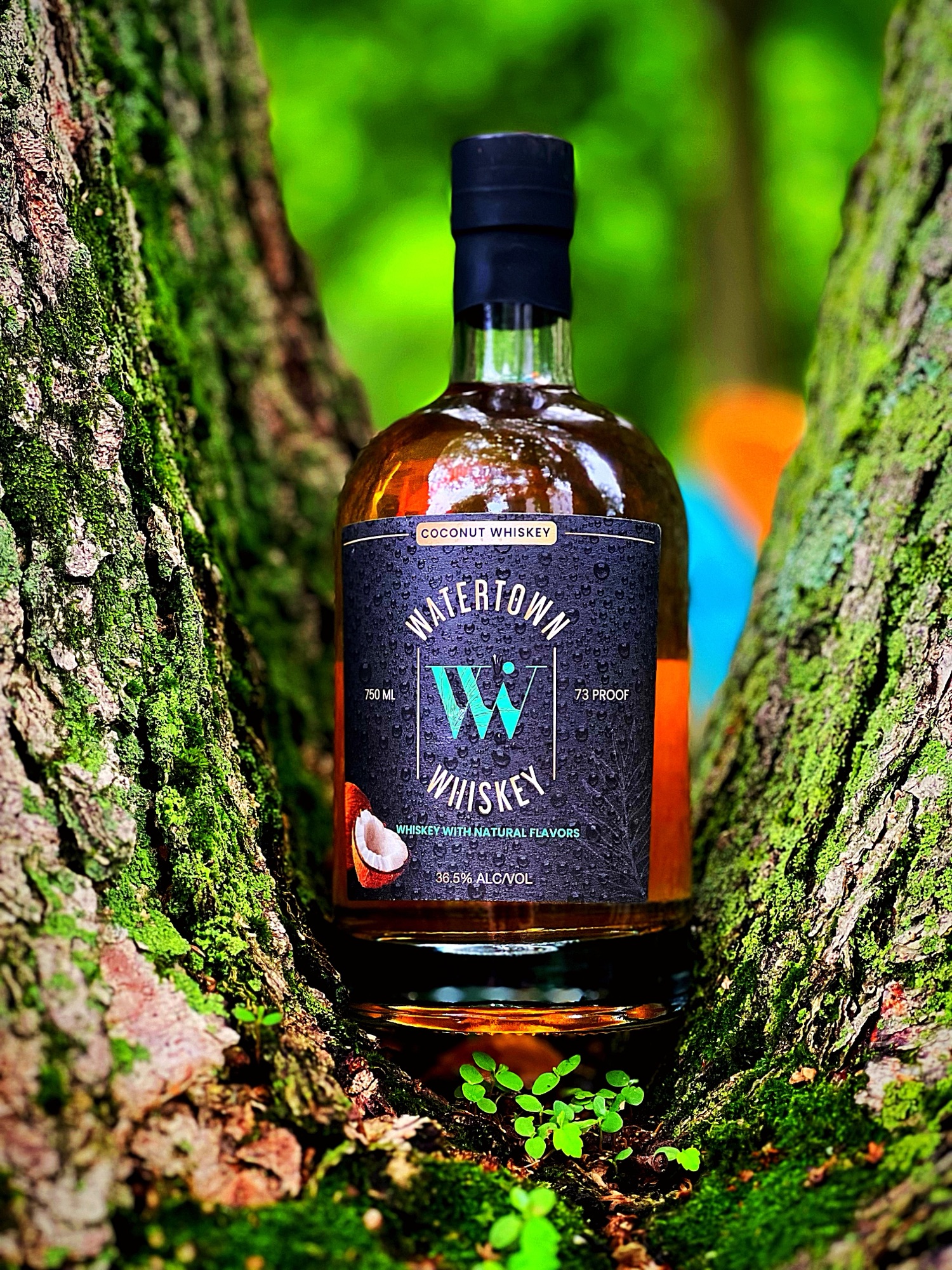 Watertown Coconut Whiskey – thewhiskeywench