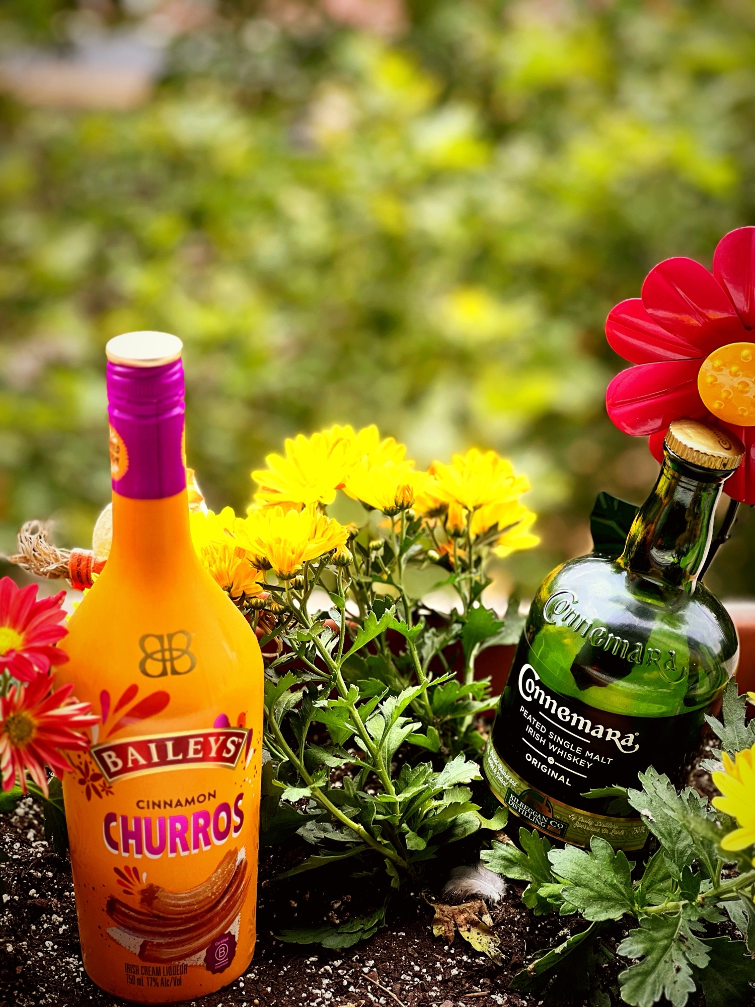 Baileys Cinnamon Churros and whiskey Cocktail – thewhiskeywench