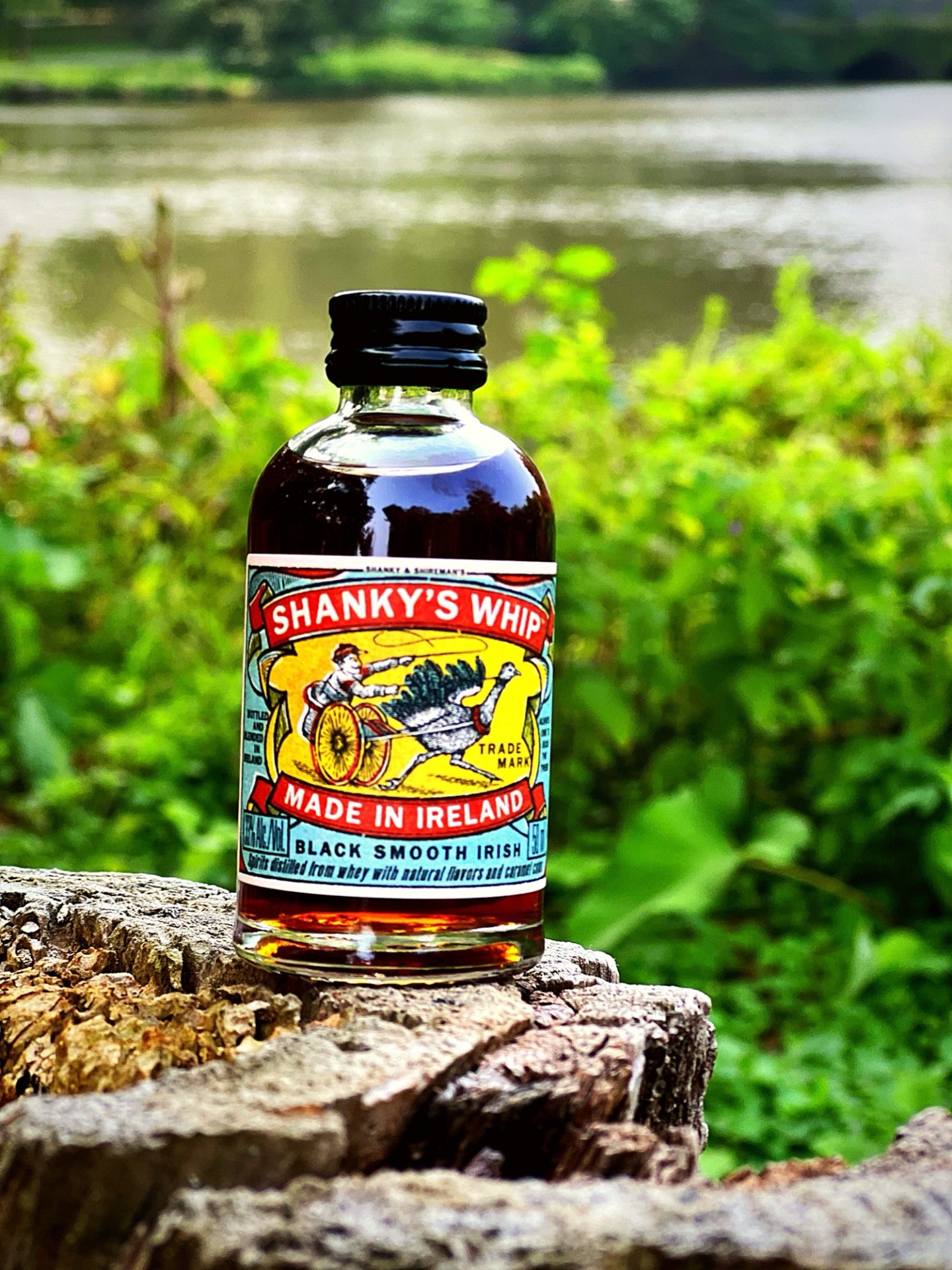 Shanky’s Whip Irish Whiskey (Black Liqueur and Whiskey Blend ...