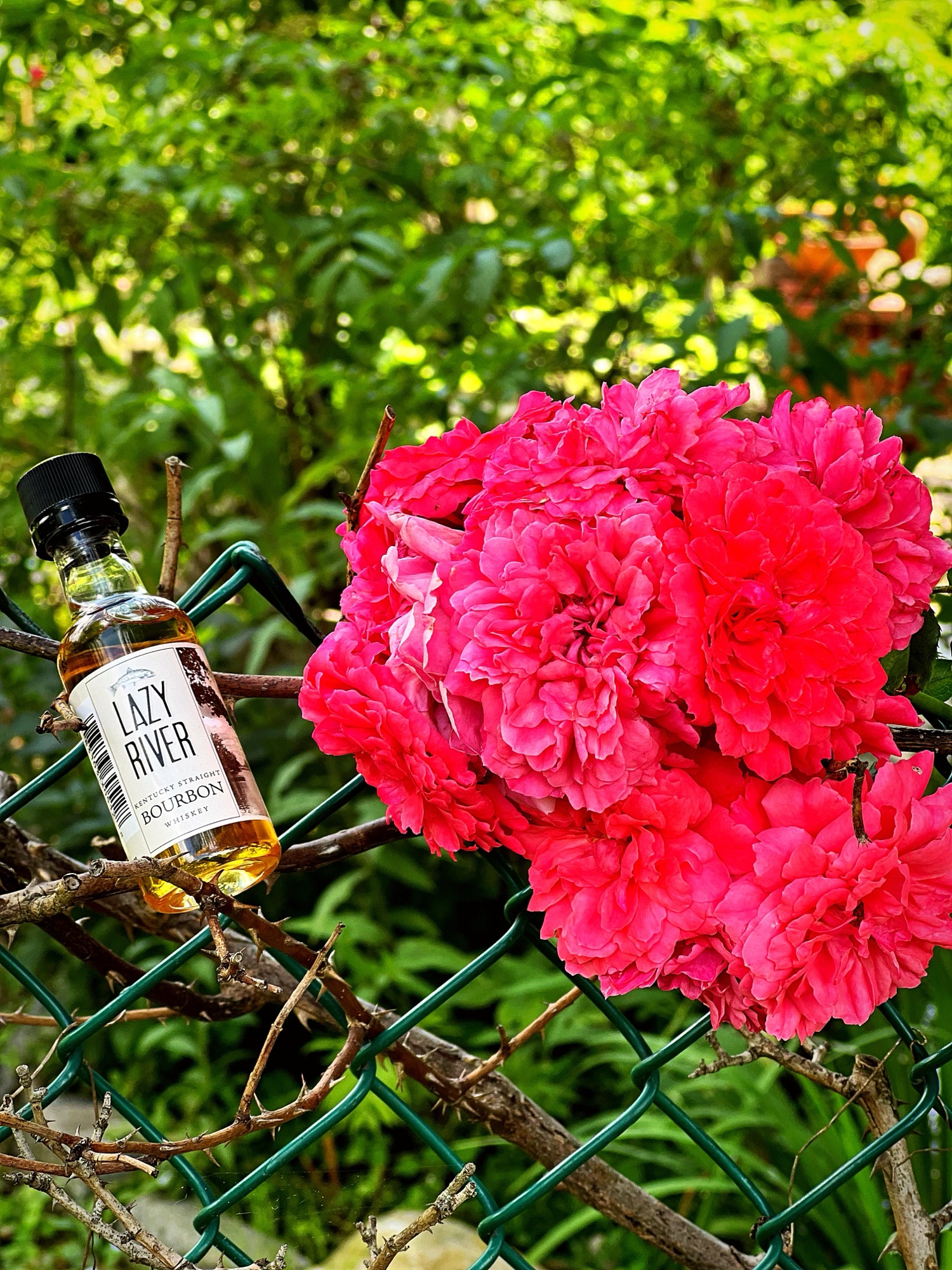 Lazy River Kentucky Straight Bourbon Whiskey – thewhiskeywench