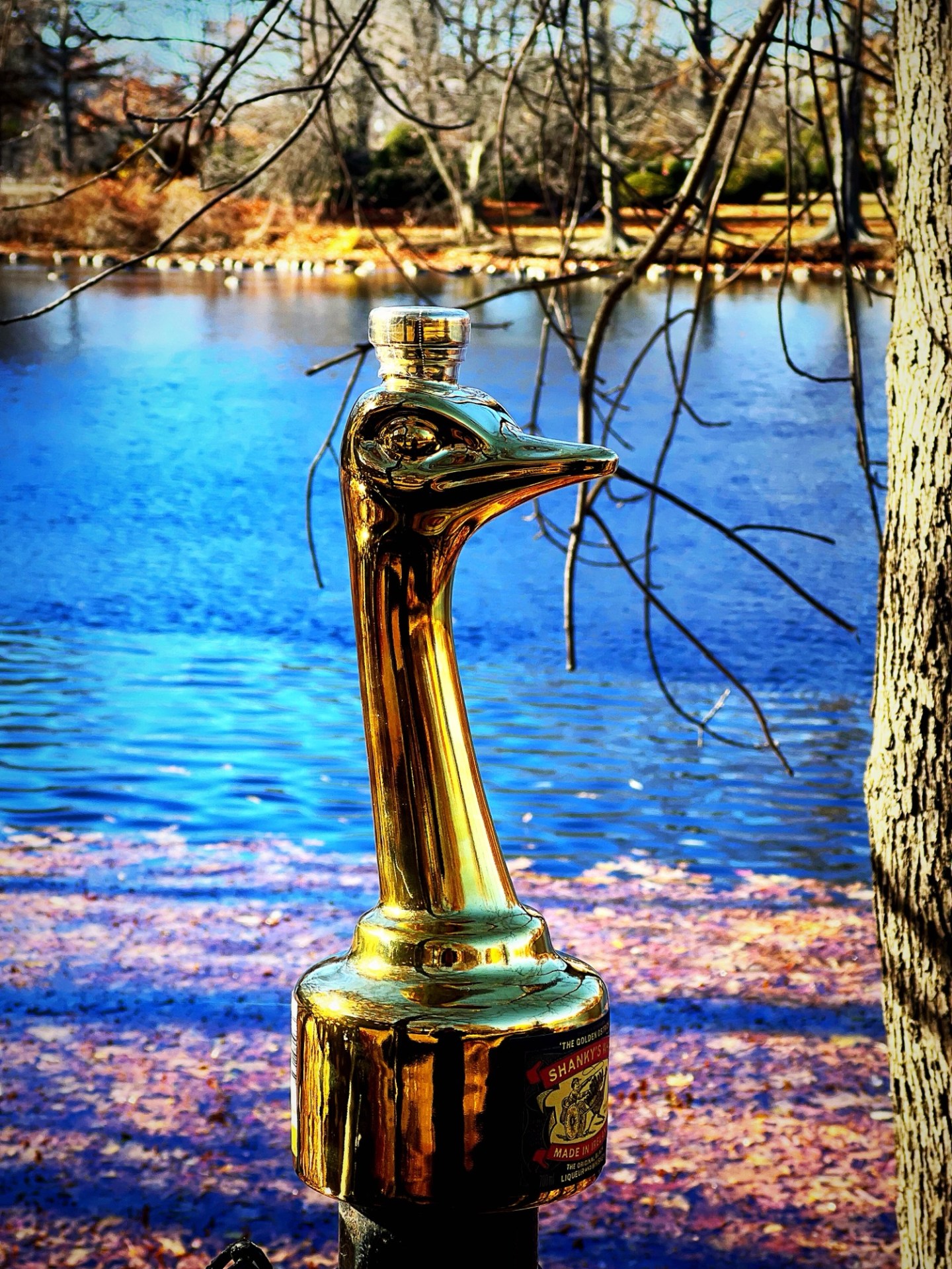 Shanky’s Whip Golden Ostrich Liqueur – thewhiskeywench